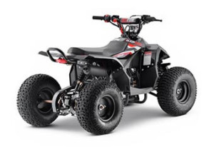 10Ten 110cc RXR Quad Bike - 10Ten MX