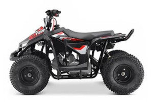 10Ten 110cc RXR Quad Bike - 10Ten MX